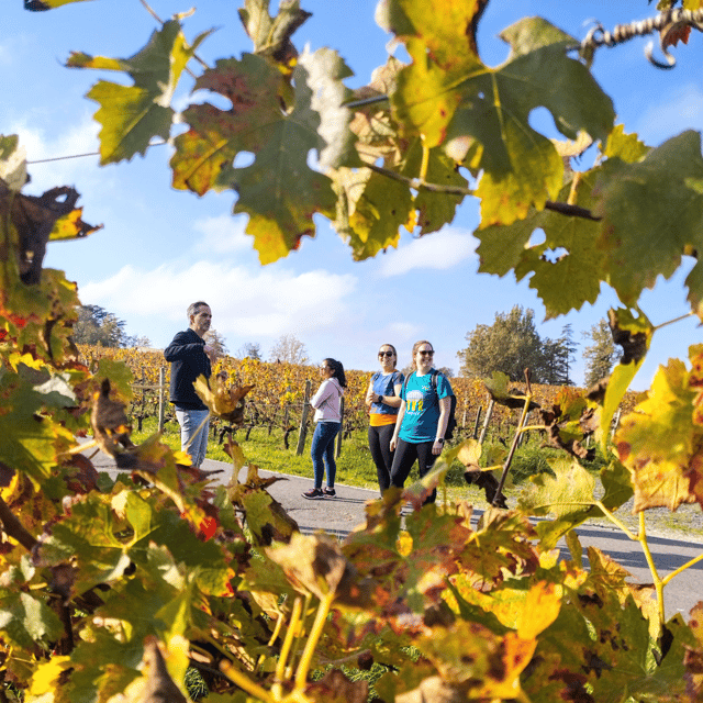 Bordeaux by Gravel Bike : Historic center & vineyards - Key Points
