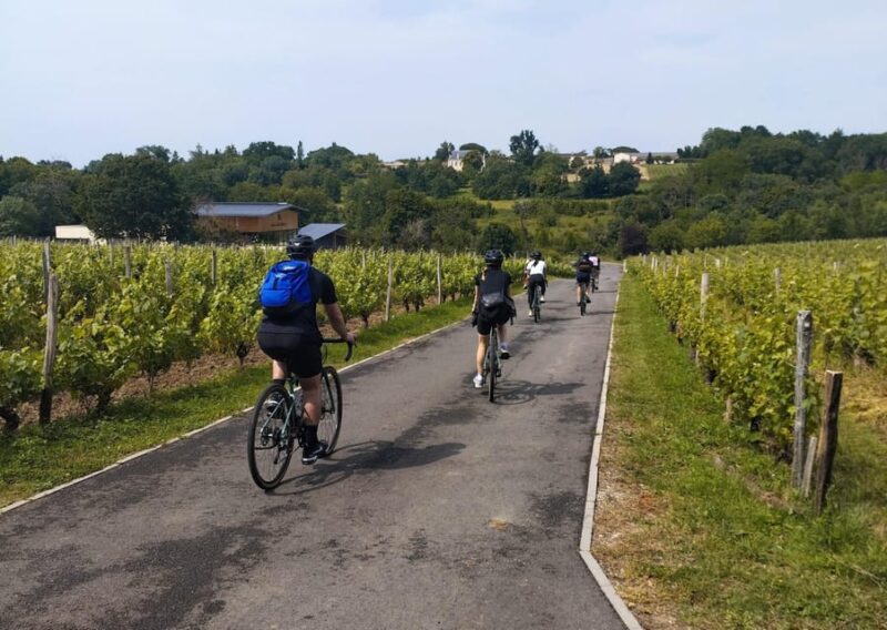 Bordeaux by Gravel Bike : Historic center & vineyards - The Itinerary: From City Streets to Vineyards