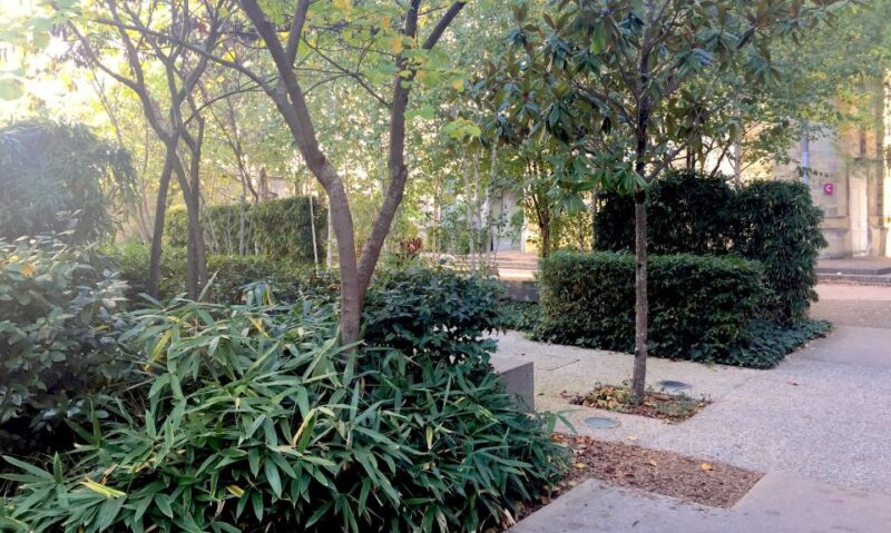 Bordeaux Contemporary landscapes - What Makes This Tour Stand Out?