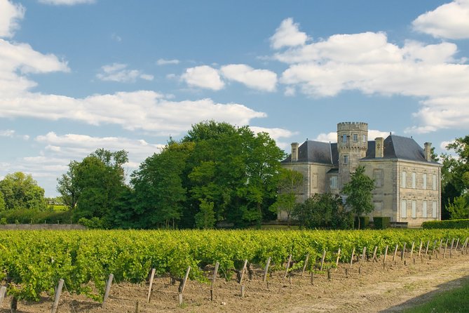 Bordeaux Cruise Port Shore Excursion: Full-Day Private Medoc Wine Tour - Who Should Consider This Tour?