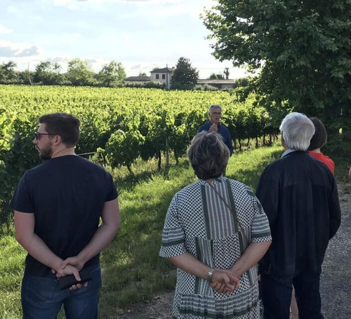 Bordeaux: Explore an Organic Family Vineyard with Tasting - Key Points