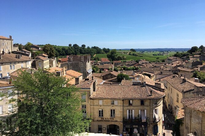 Bordeaux Full Day Wine and Bike Tour - Exploring Bordeauxs Vineyards