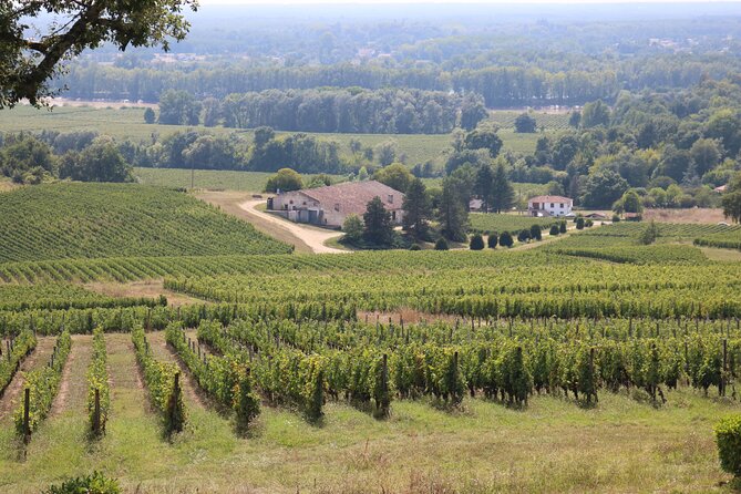 Bordeaux: Full Day Wine Tastings & Gourmet Lunch - Exploring Entre-Deux-Mers Wine Estates