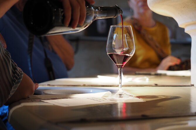 Bordeaux in a Day City and Chateau Visit Shared Walking Tour - What Makes This Tour Valuable?