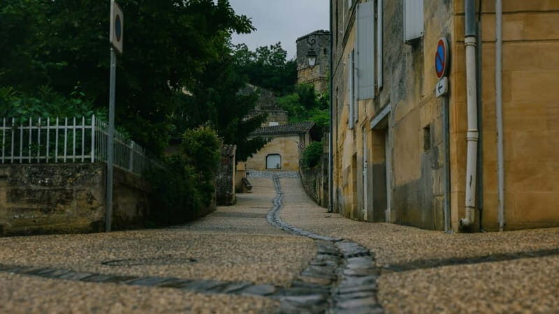 Bordeaux: Medoc Wine Tour to Le Verdon Cruise Port - Who Is This Tour Best For?