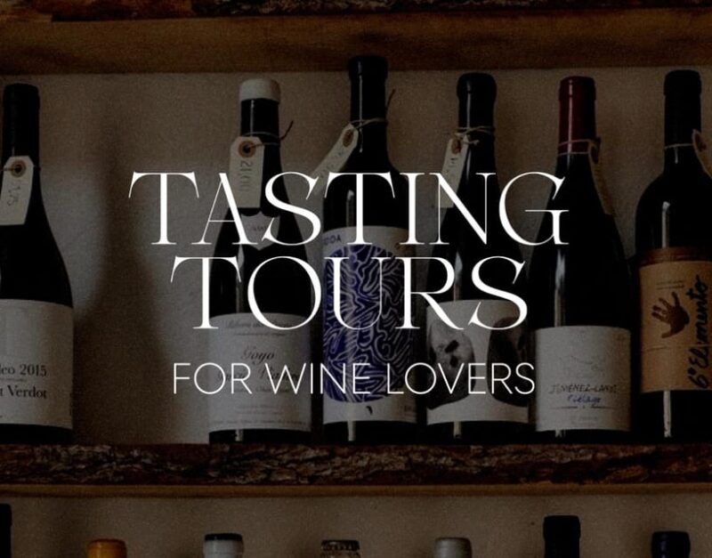 Bordeaux Private Walking & Tasting Tour - Who Is This Tour Best For?