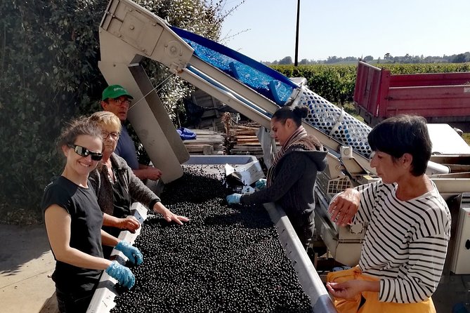 BORDEAUX region UNCORKED - Private Premium Enological Adventure - Who Should Consider This Tour?