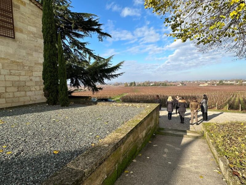 Bordeaux: Saint-Émilion wine tour in a small group - In-Depth Breakdown of the Tour