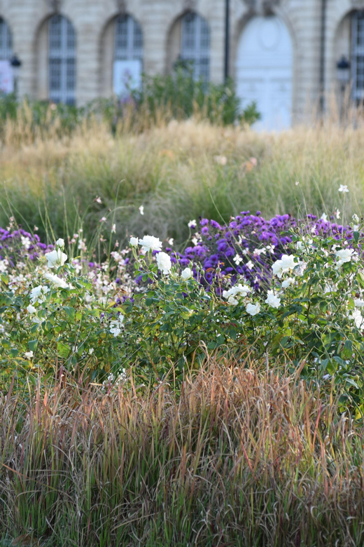 Bordeaux : see the whole city by bike - Final Thoughts