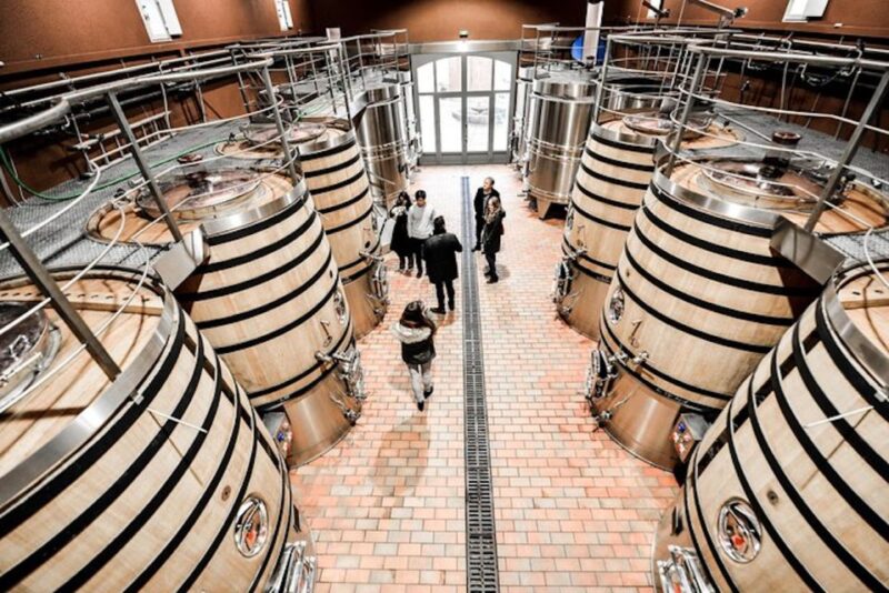 Bordeaux: St-Emilion and Medoc Wine Day Tour with Lunch - The Experience: Pros and Cons