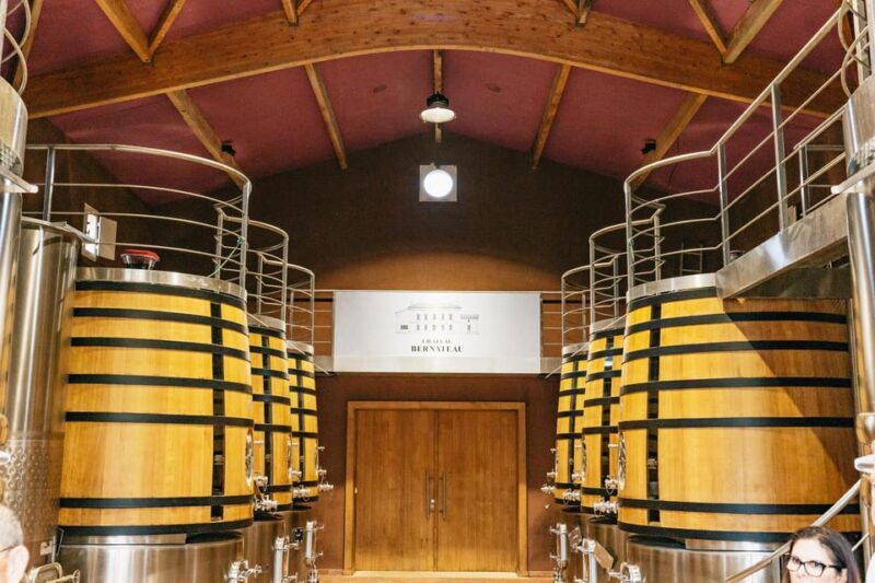 Bordeaux: St. Emilion Day Trip with Wine Tasting and Lunch - Practical Details and Tips