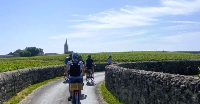 Bordeaux: St-Emilion Vineyards e-Bike Tour with Wine & Lunch - What Travelers Are Saying