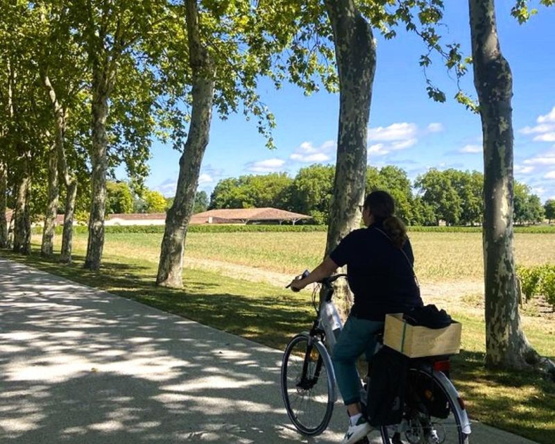 Bordeaux: St-Emilion Vineyards e-Bike Tour with Wine & Lunch - Who Is This Tour Best For?