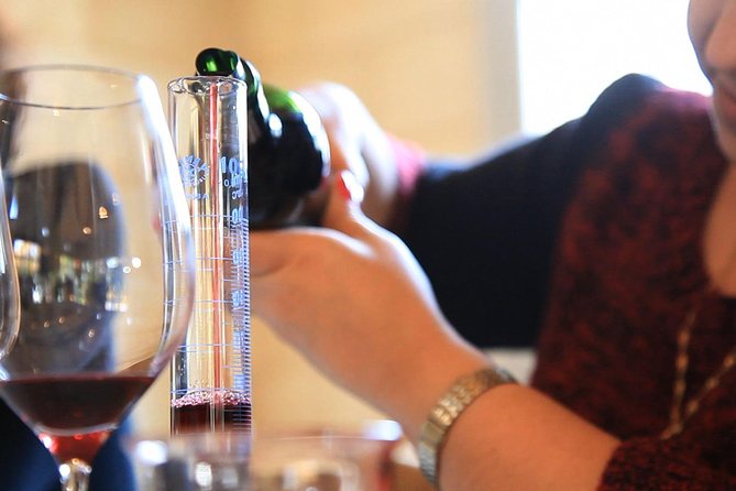 Bordeaux Super Saver Wine Tasting class and St Emilion region - Who Will Love This Tour?