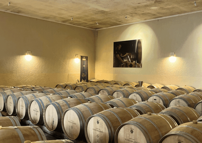 Bordeaux : Unforgettable Saint Emilion Half Day Wine Tour - Pricing & Value