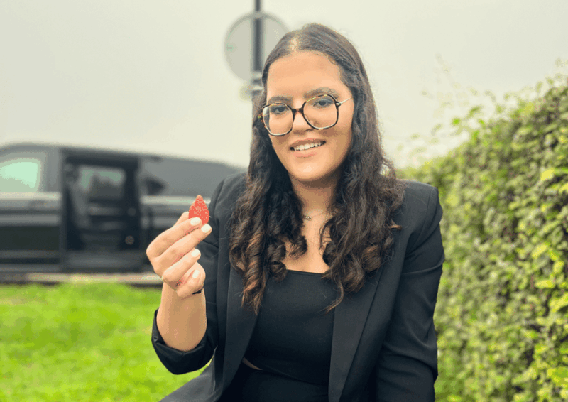 Bordeaux : Unforgettable Saint Emilion Half Day Wine Tour - Practical Details and Tips