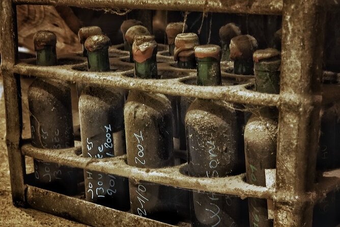 Bordeaux Wine and Trade Museum Admission Ticket with Wine Tasting - Who Will Enjoy This Tour?