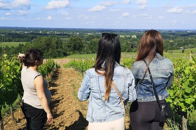 Bordeaux wine tour: 2 wineries (red & white wine) - The Journey Back and Overall Pace