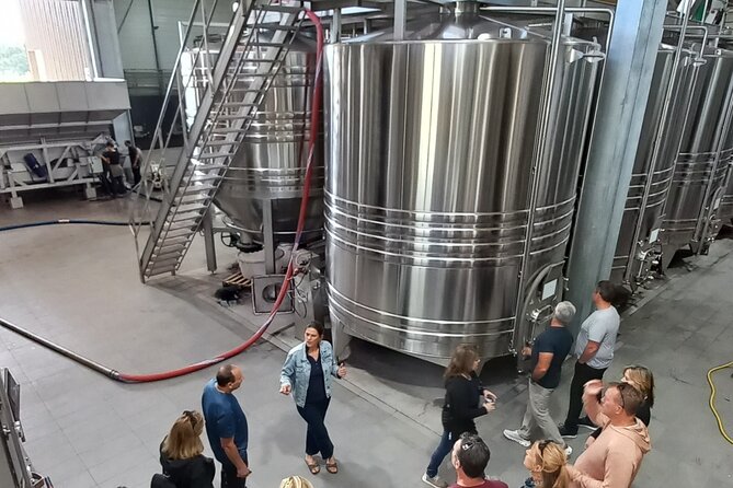 Bordeaux wine tour: 2 wineries (red & white wine) - The Reviews and Authentic Perspectives