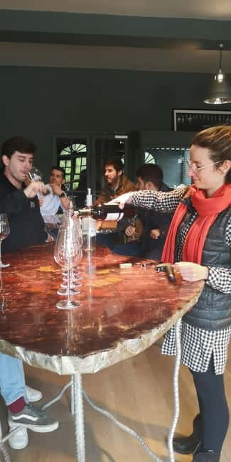 Bordeaux wine tour: 2 wineries & wine tastings (red & white) - Who Should Consider This Tour?