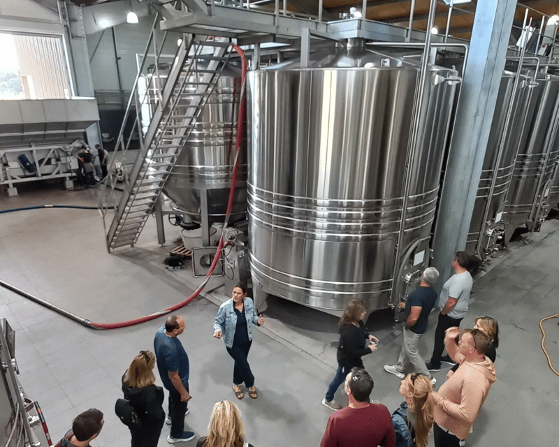 Bordeaux wine tour: 2 wineries & wine tastings (red & white) - The Sum Up