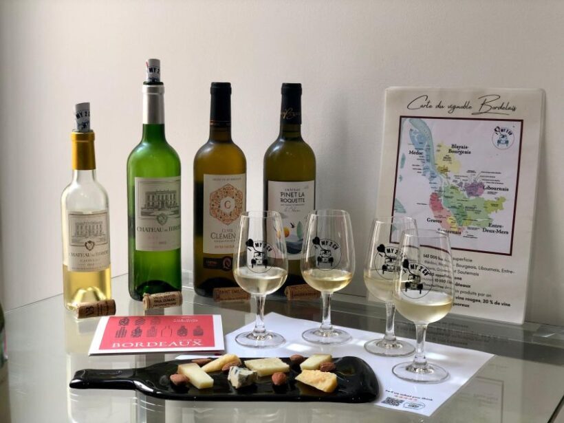 Bordeaux wines : tasting with 4 white wines and cheese - Introduction