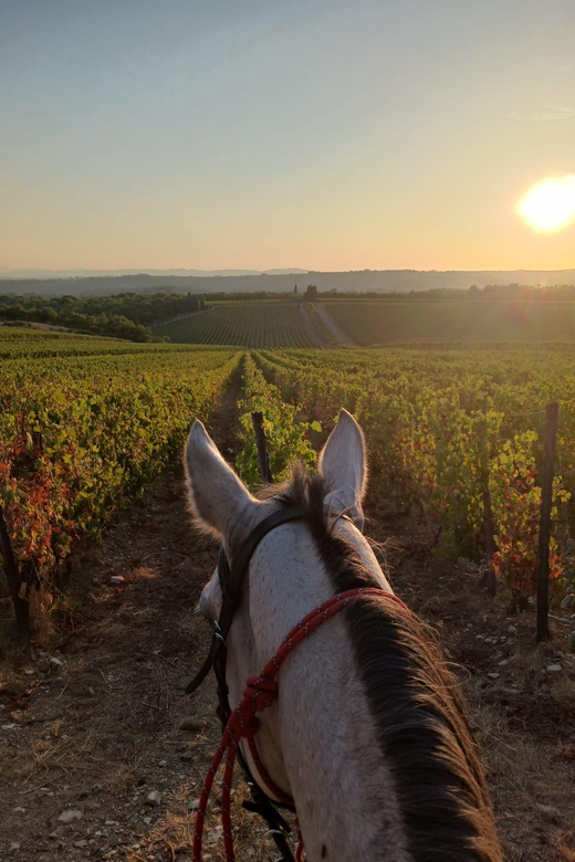 Borgo Cignano: Waiting for the sunset - Key Points