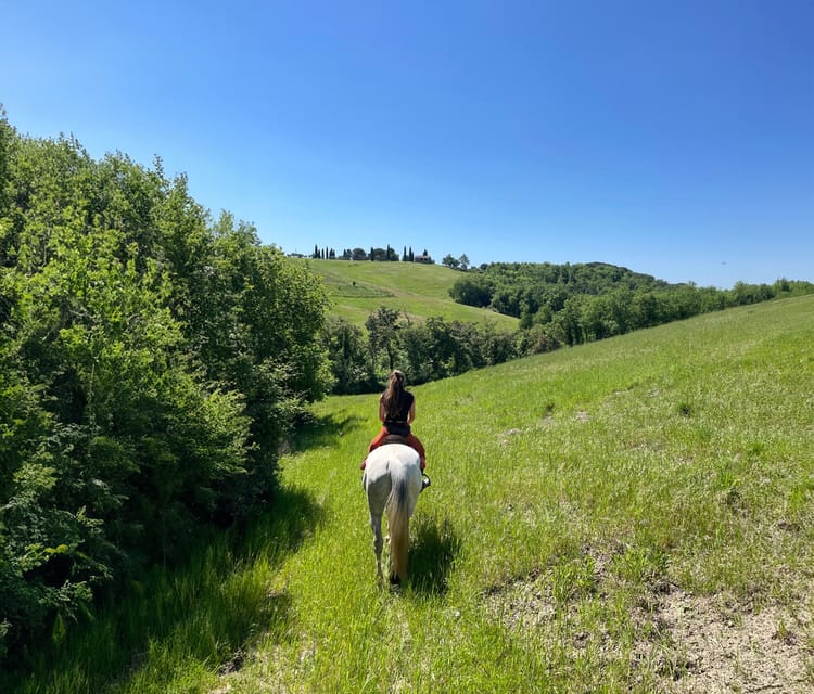 Borgo Cignano: Waiting for the sunset - FAQs