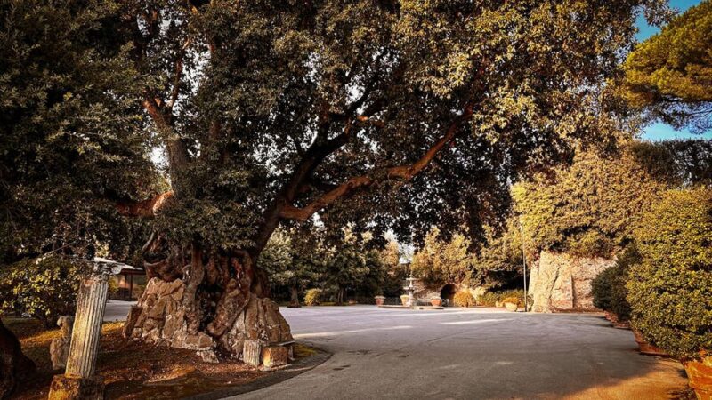 Borgo Laudato Si' - Gardens of Villa Barberini - Why This Tour Is Worth Considering