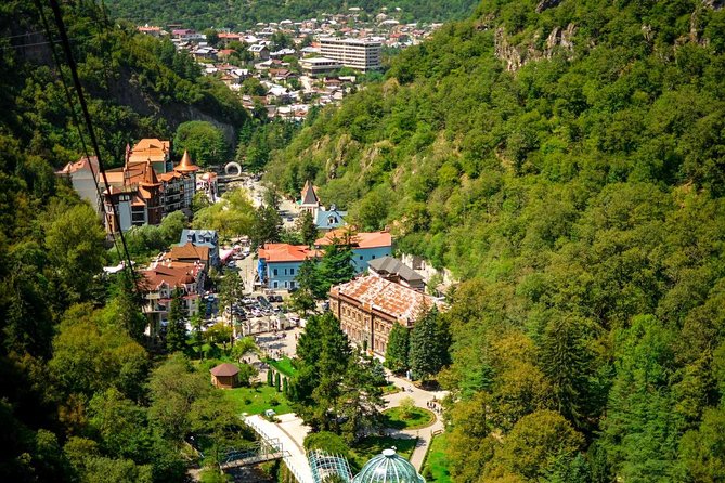 Borjomi/Bakuriani Private Full Day Tour from Tbilisi - Authentic Encounters and Guide Benefits