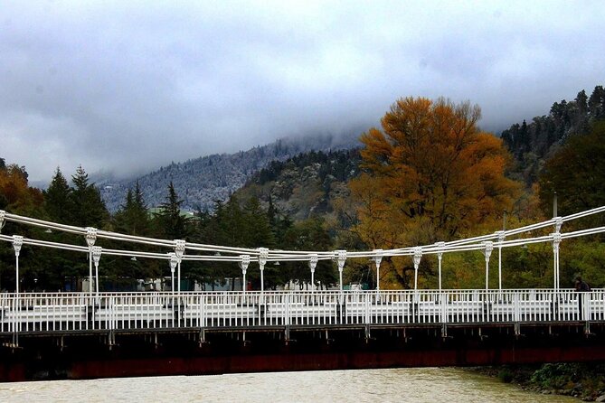 Borjomi Nature Wonderland Guided Tour from Tbilisi - Who Will Love This Tour?