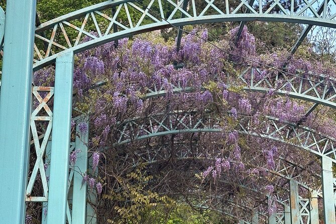 Borjomi Nature Wonderland Guided Tour from Tbilisi - Final Thoughts