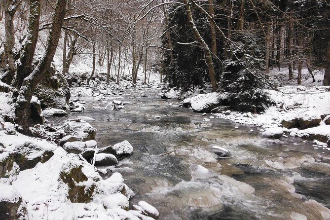 Borjomi Nature Wonderland Guided Tour from Tbilisi - FAQs