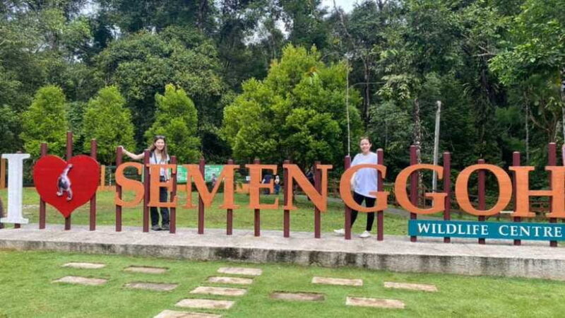 Borneo: 10-Day Adventure: Kuching to Brunei and Sabah - Final Thoughts