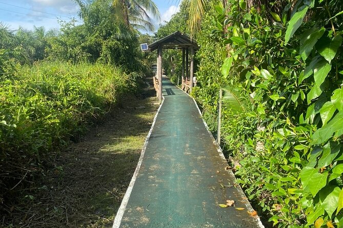 Borneo (Klias) River Cruise & Fireflies Tour - FAQ