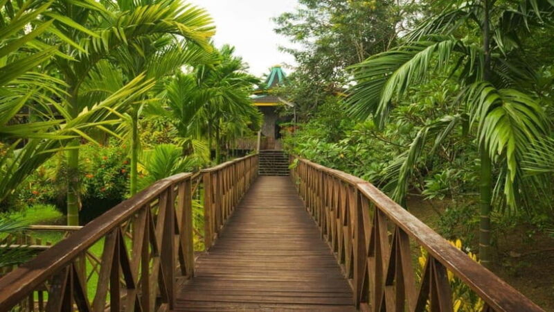 Borneo : Orangutan, Proboscis Monkey, and Sun Bear Tour - FAQs