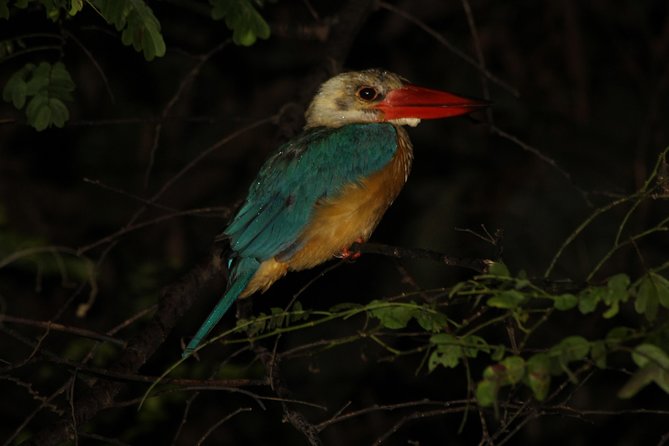 Borneo Wildlife Tour 3 Days 2 Nights At Tanjung Bulat Jungle Camp Kinabatangan - Detailed Breakdown of the Itinerary