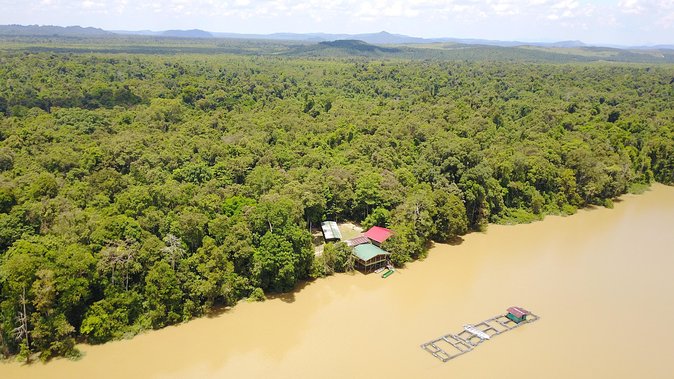 Borneo Wildlife Tour 3 Days 2 Nights At Tanjung Bulat Jungle Camp Kinabatangan - What Travelers Love About This Tour