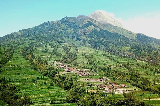 Borobudur Climb Up and Selogriyo Temple Rice Terraces Trekking - The Value for Travelers