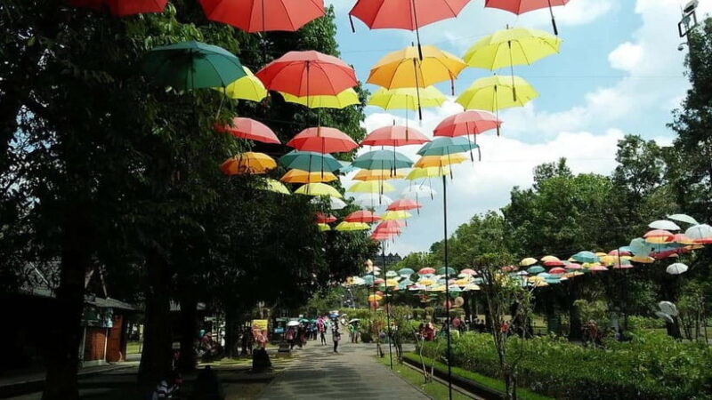 Borobudur half-day tour from Yogyakarta - FAQ