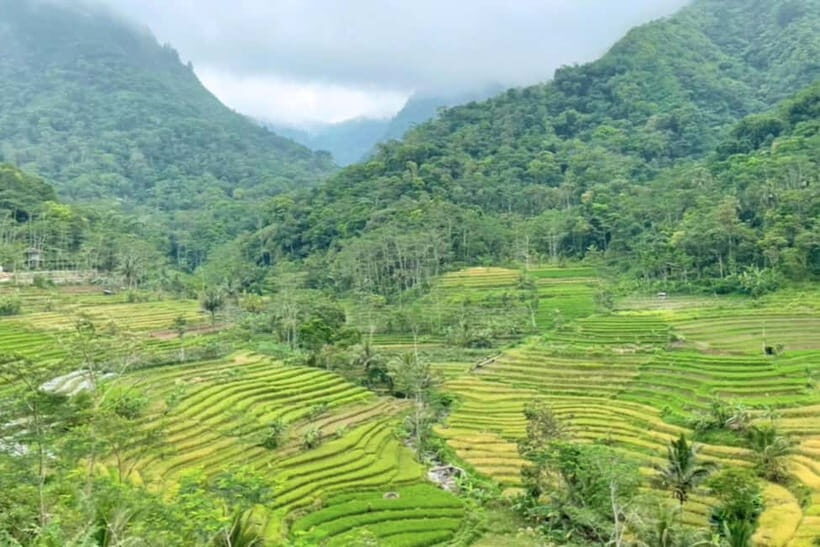 Borobudur: Nepal Van Java & Selogriyo Rice Terraces Private - Final Thoughts: Who Will Love This Tour?
