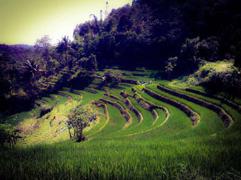 Borobudur Photography Day Tour - The Itinerary in Detail