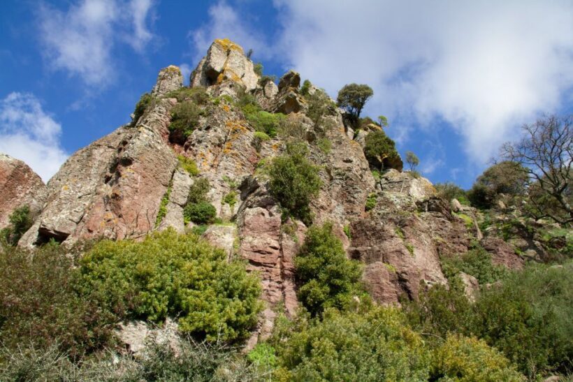 Bosa: Coast and Country Guided Quad Bike Tour - FAQ