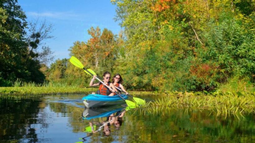 Bosa: Temo River Kayak Rental - The Experience: Fun, Relaxation, and Authenticity