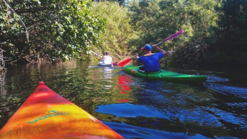 Bosa: Temo River Kayak Rental - Pricing and Value