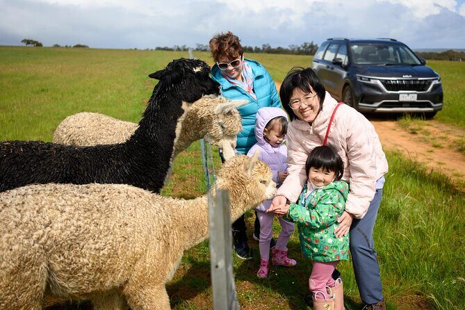 Boshack Farm - Animal, Wildlife, Stargazing Nature Aussie culture - An Honest Look at This Perth Day Tour