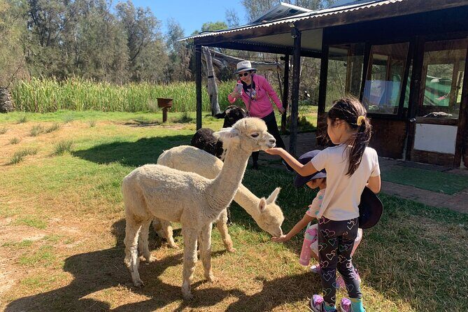 Boshack Farm - Animal, Wildlife, Stargazing Nature Aussie culture - Key Points