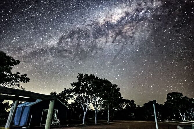 Boshack Farm - Animal, Wildlife, Stargazing Nature Aussie culture - Pricing & Value: Is It Worth It?