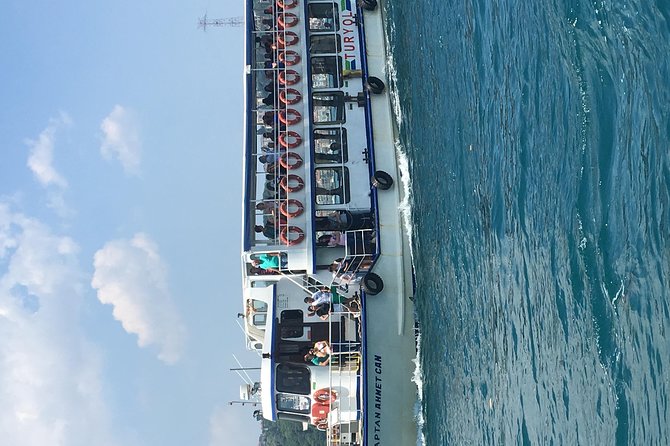 Bosphorus Cruise With Dolmabahçe Palace and Fortresses - Practical Details and Value