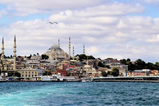 Bosphorus Morning, Afternoon & Sunset Cruise - Accessibility and Inclusivity